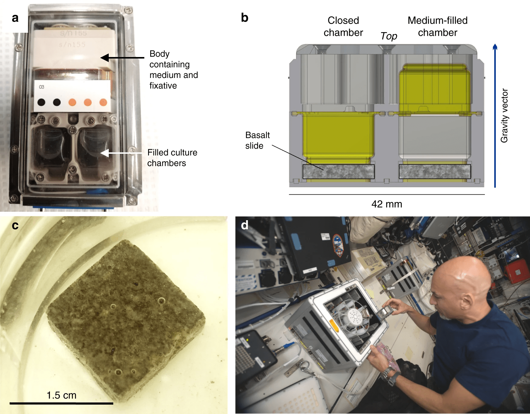 Biomining: Harnessing Microbes for Resource Extraction in the Space ...